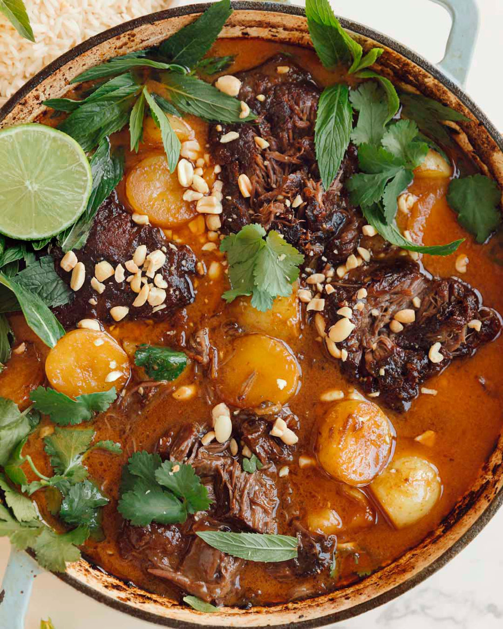 Beef Bone Broth Concentrate | Beef Cheek Massaman – Nutra Organics